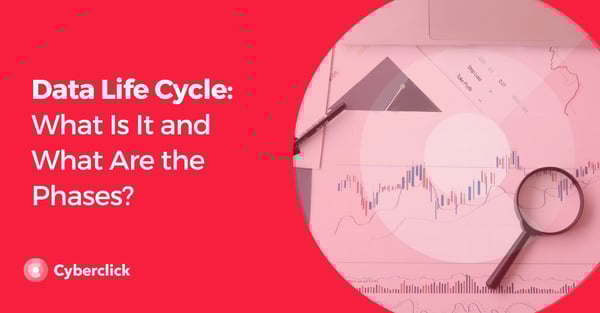 Data Life Cycle: What Is It and What Are the Phases?