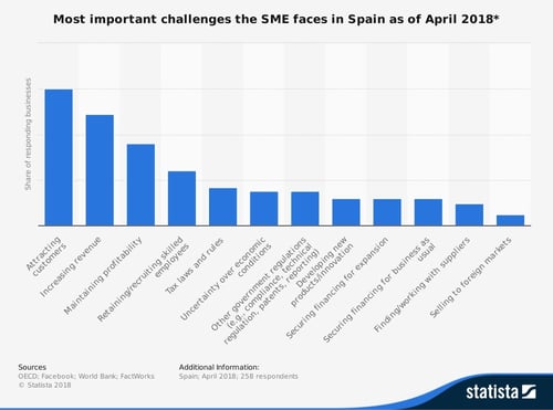 Who are the SME and SMB target market segment?